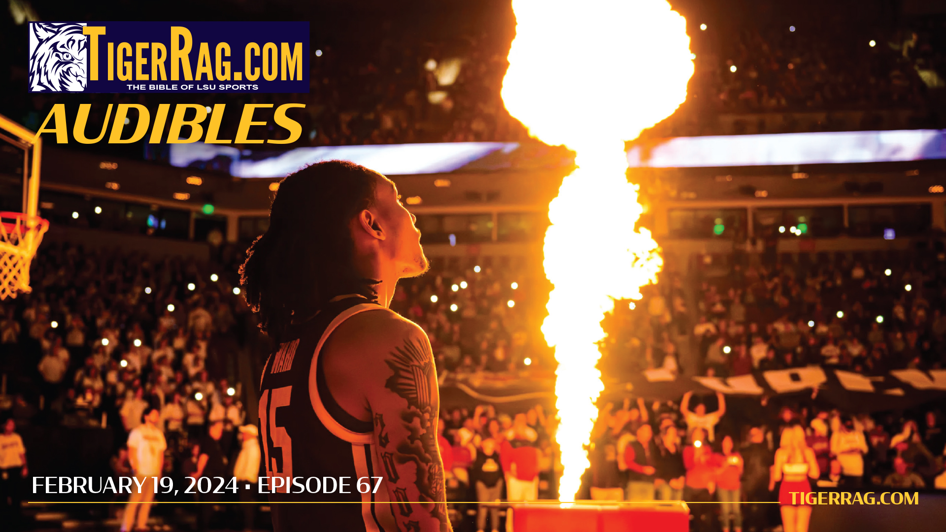 WATCH: LSU gets over the hump in HUGE win at No. 11 South Carolina | No ...